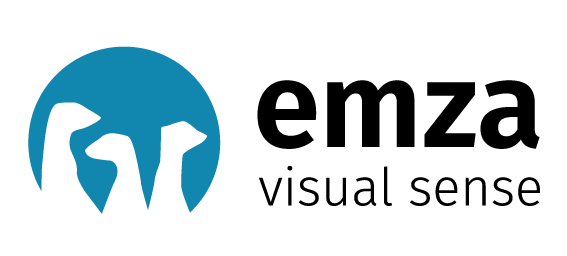Emza visual-sense – Arm®