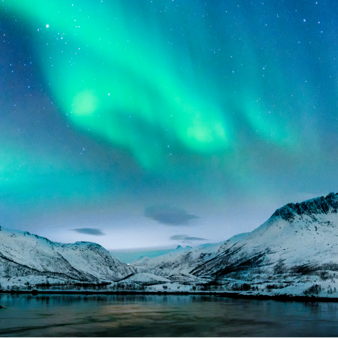 Purpose on Arm – Arm®